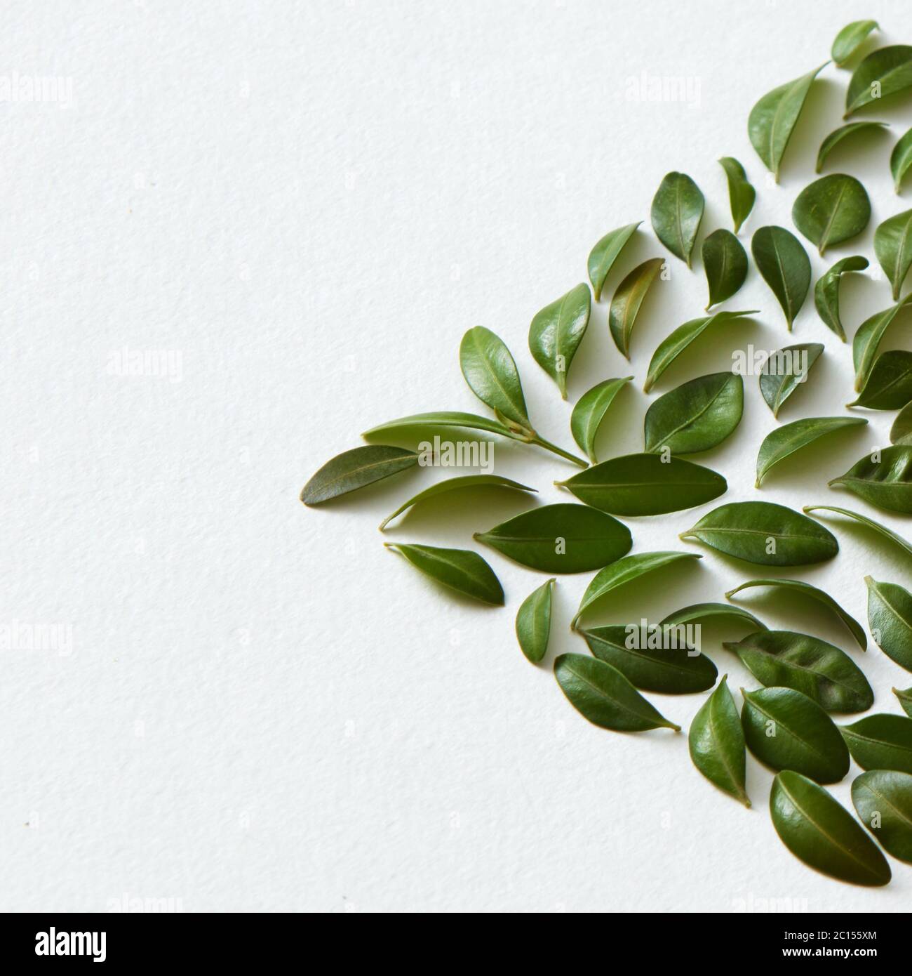 Arrow shape from leaves hi-res stock photography and images - Alamy