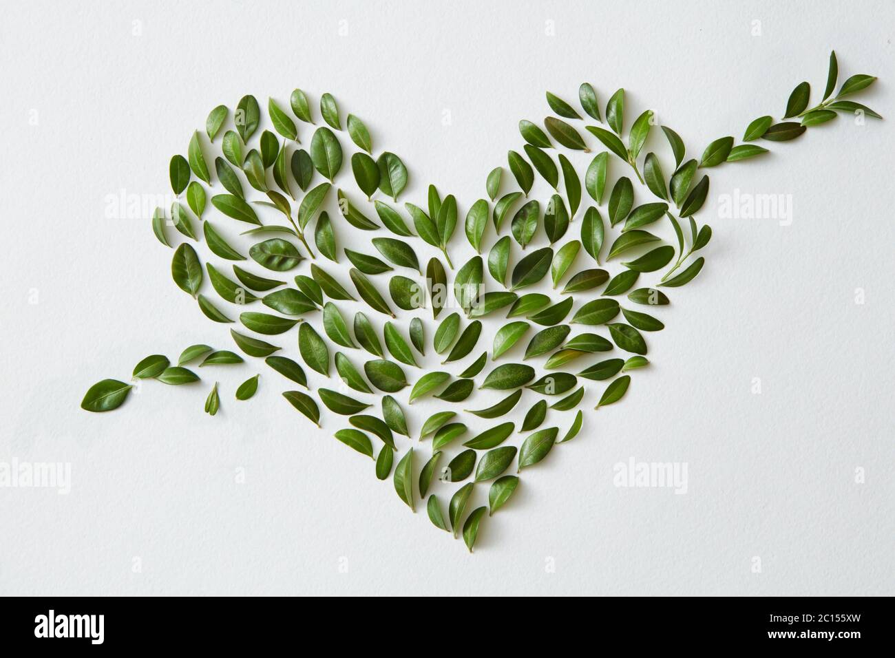 Heart shape leaves hi-res stock photography and images - Alamy