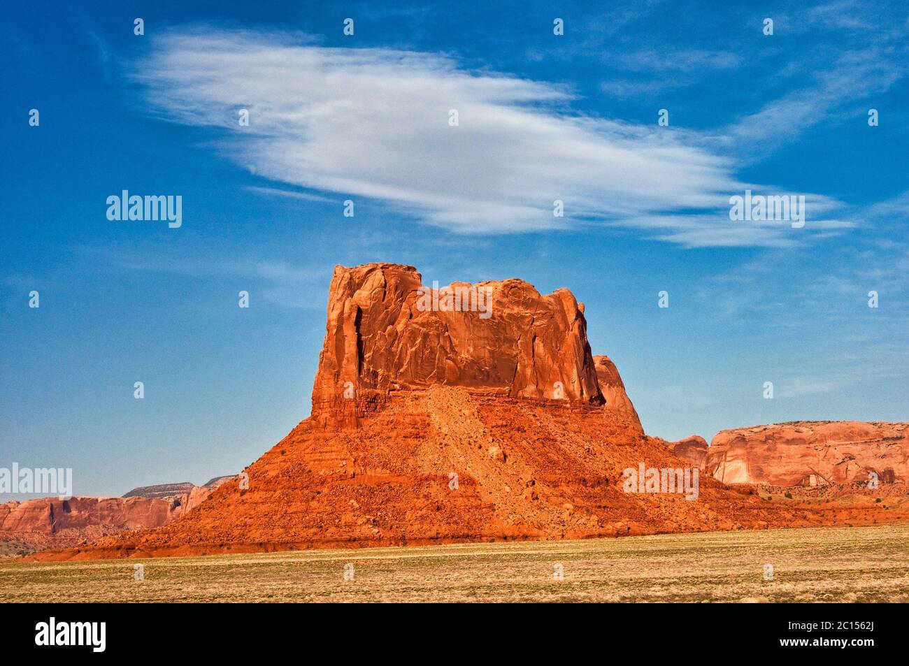 Strength of the nation hi-res stock photography and images - Alamy