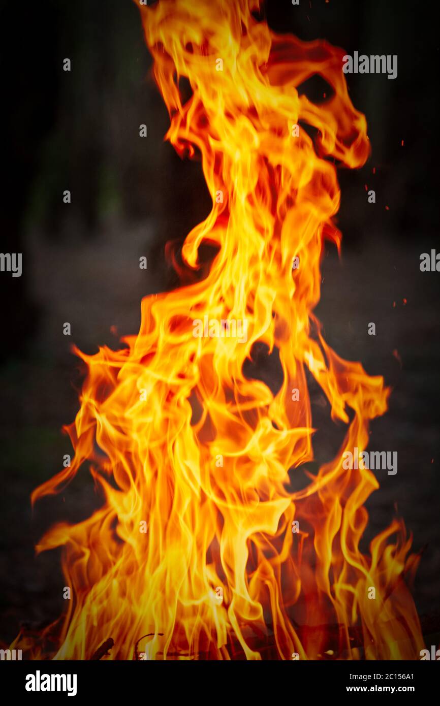 Long tongues of camp fire outside, sizzling bonfire vertical image ...