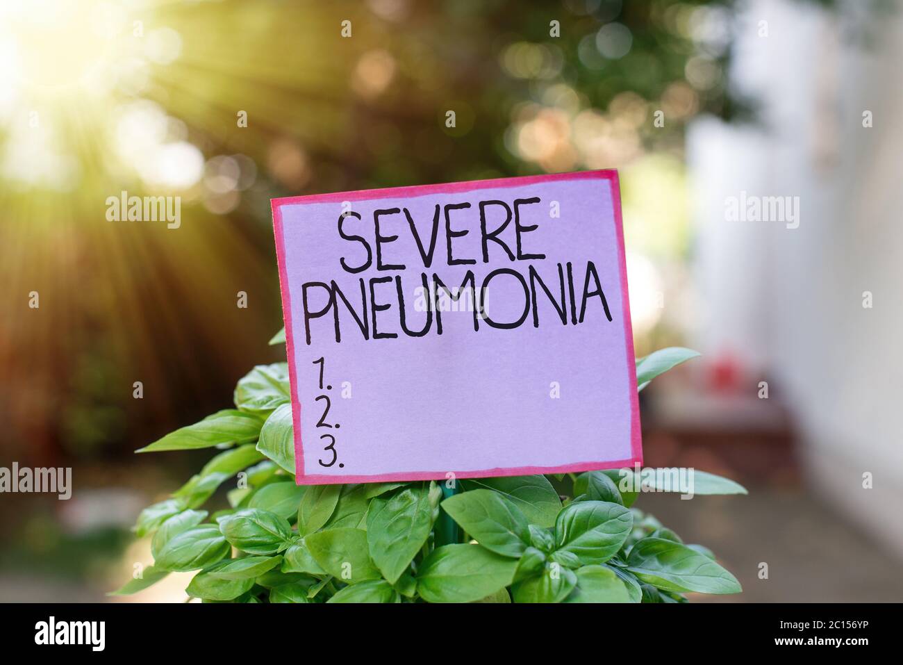 Conceptual hand writing showing Severe Pneumonia. Concept meaning acute ...
