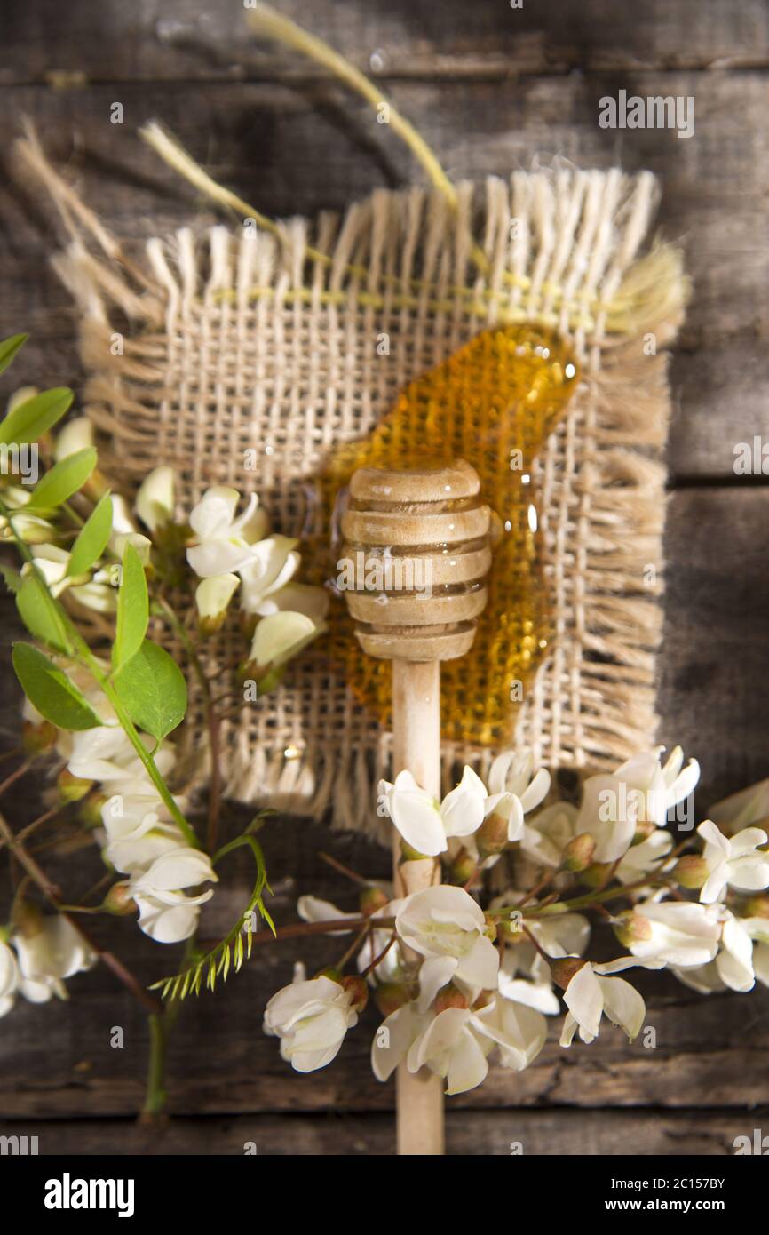 Turns honey hi-res stock photography and images - Alamy Turns honey hi-res stock photography and images - Alamy