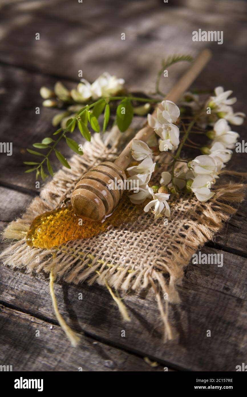 Turns honey hi-res stock photography and images - Alamy Turns honey hi-res stock photography and images - Alamy