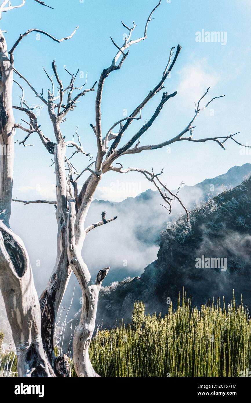 Landscape view Pico Arieiro to Pico Ruivo, Madeira with interesting ...