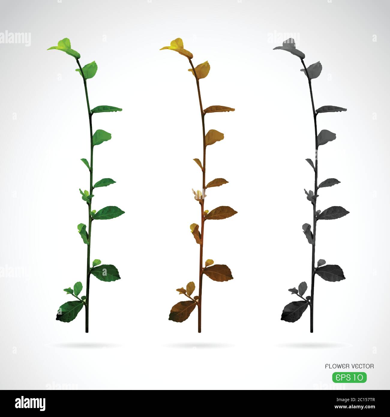 Vector of leaves on white background. Easy editable layered vector ...