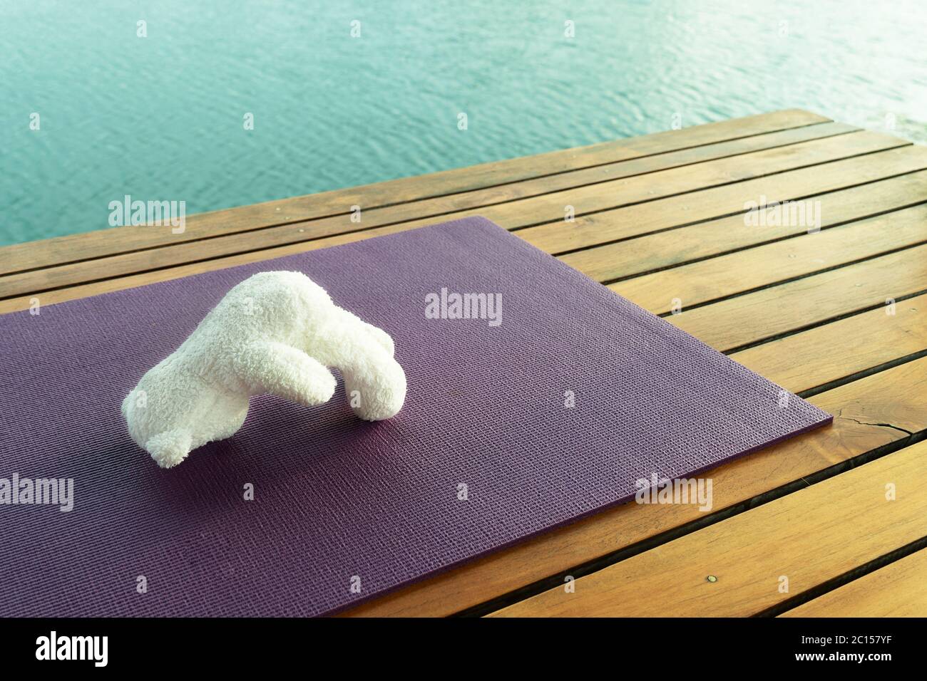 white bear doll yoga acting exercise on mat at cozy wood terrace with ...