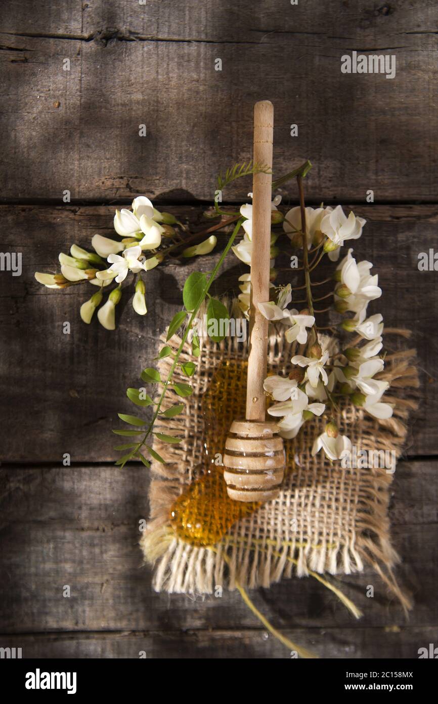 Turns honey hi-res stock photography and images - Alamy Turns honey hi-res stock photography and images - Alamy