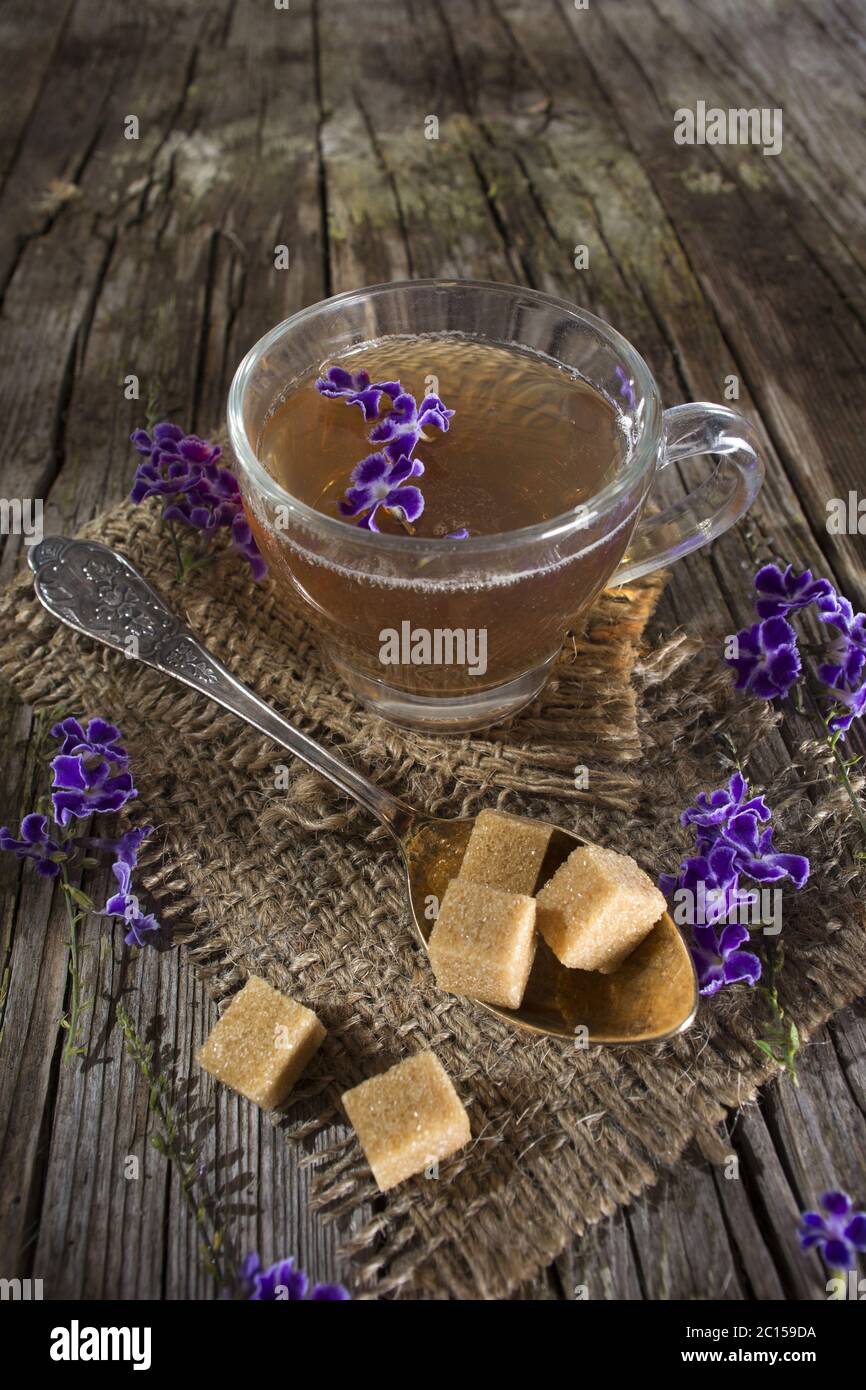 Duranta repens hi-res stock photography and images - Alamy