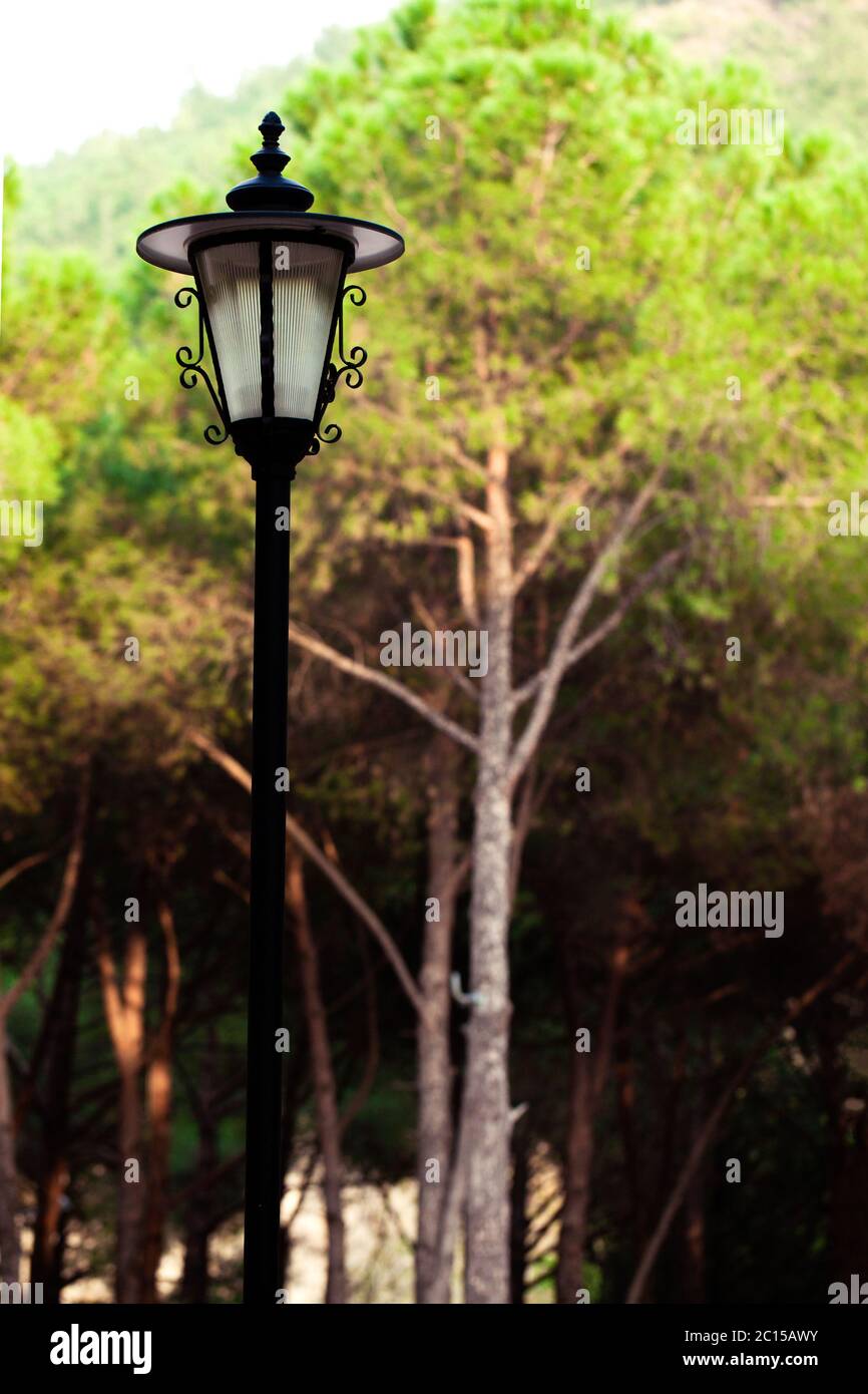 Decorative Street Lamp in the Forest Photo Stock Photo - Alamy