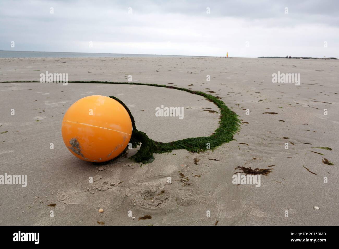 Orange round buoy on sand beach in low season. Big layer of green algae ...