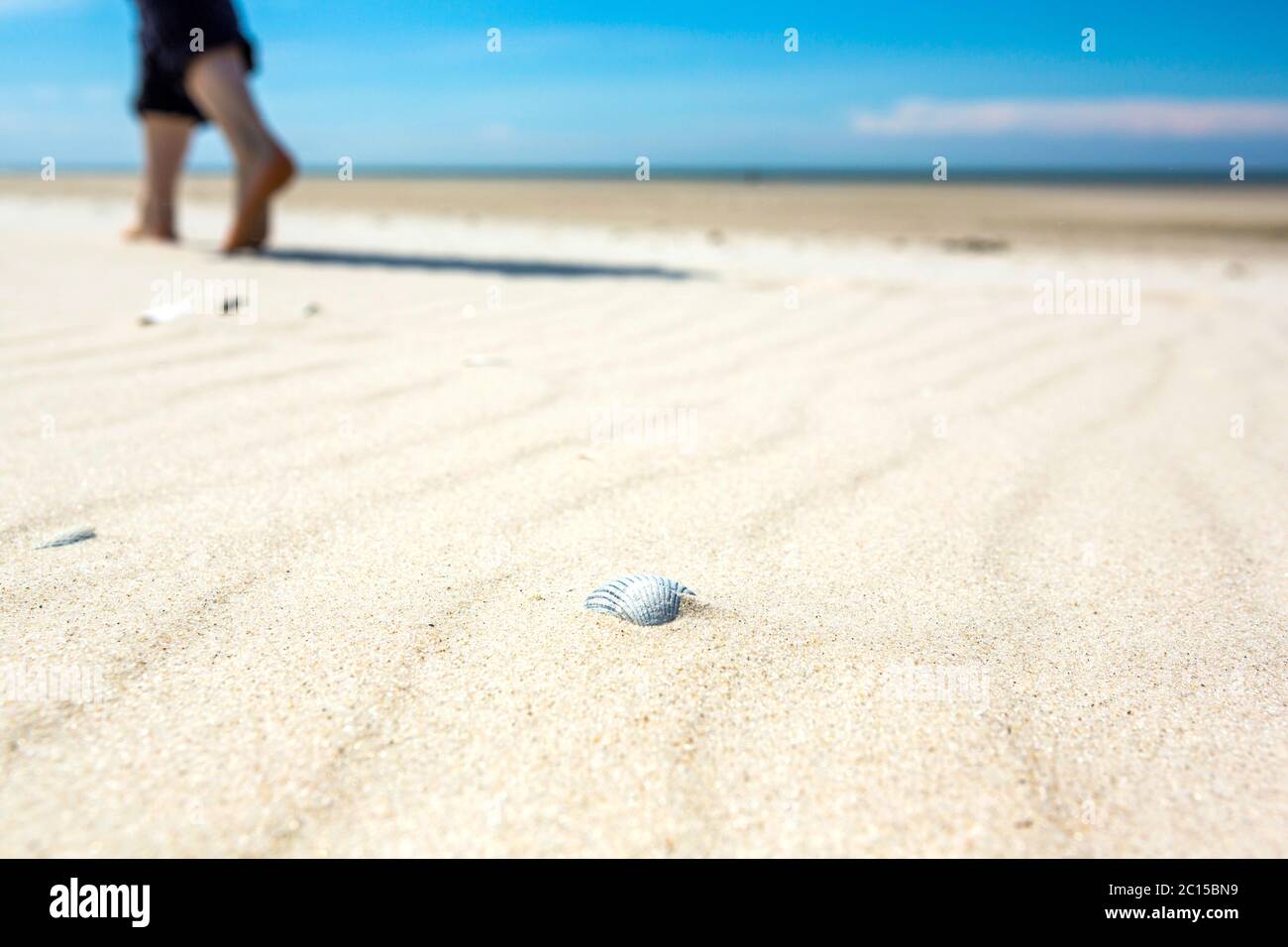 Sunny day on white sand beach with colorful clam shell. Panoramic view ...