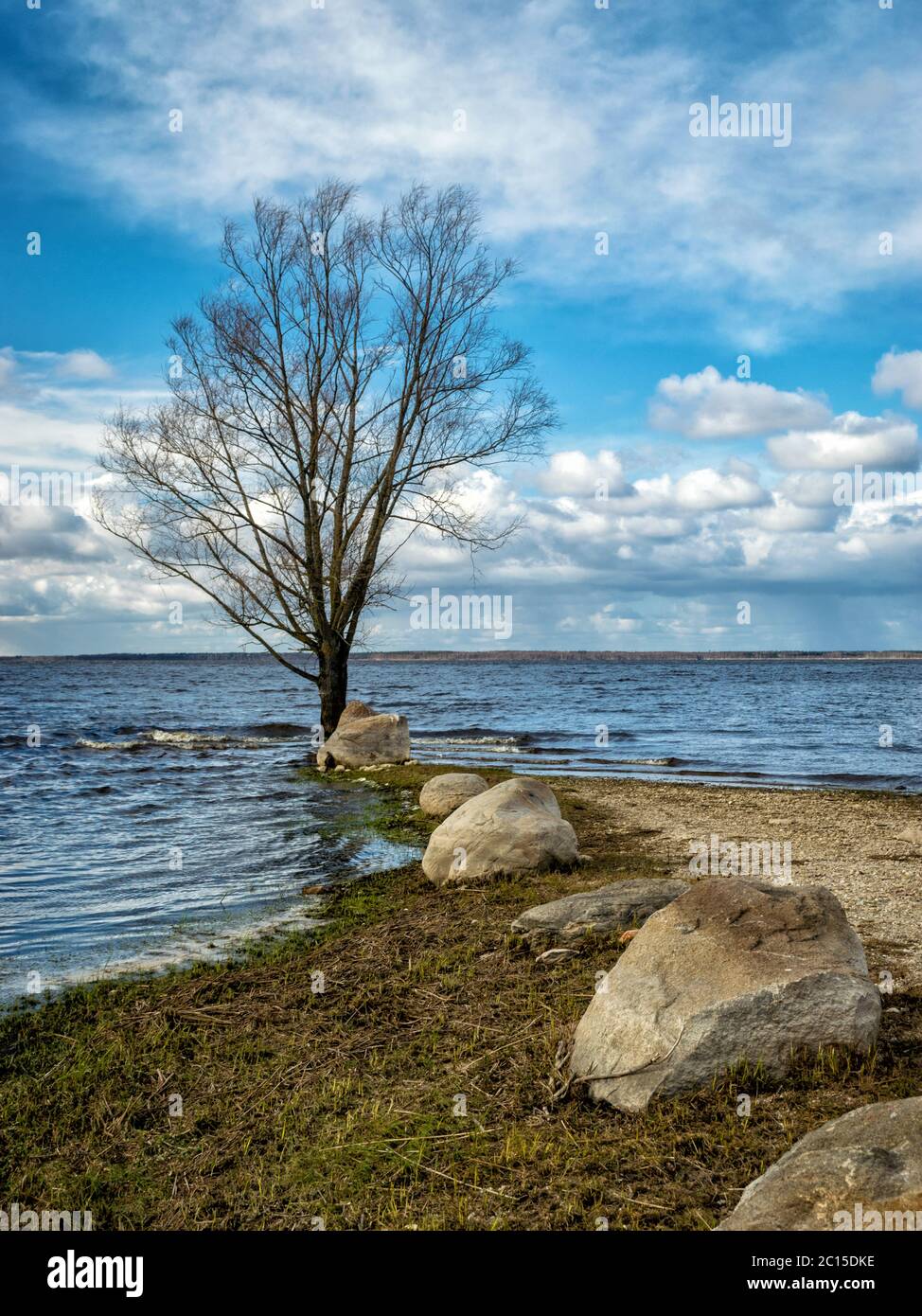 lonely tree and stones in the lake, wind and waves crash against the ...