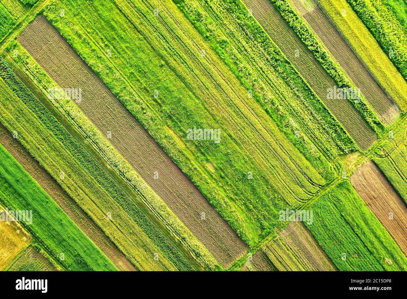 Aerial view of green agricultural fields in spring with fresh ...