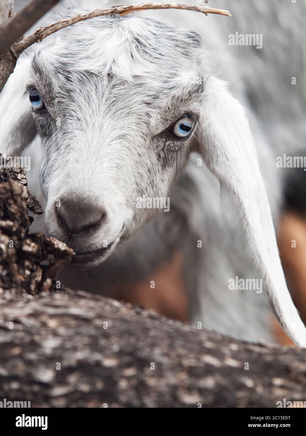 Little kid hi-res stock photography and images - Alamy