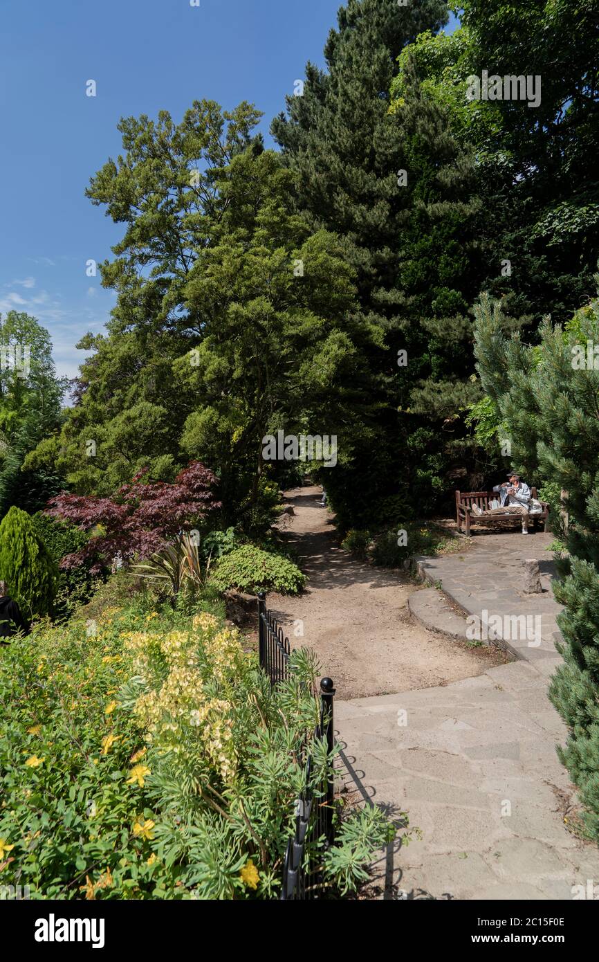 Fletcher Moss park and Botanical Garden, Manchester, UK. 13/06/20 Stock ...