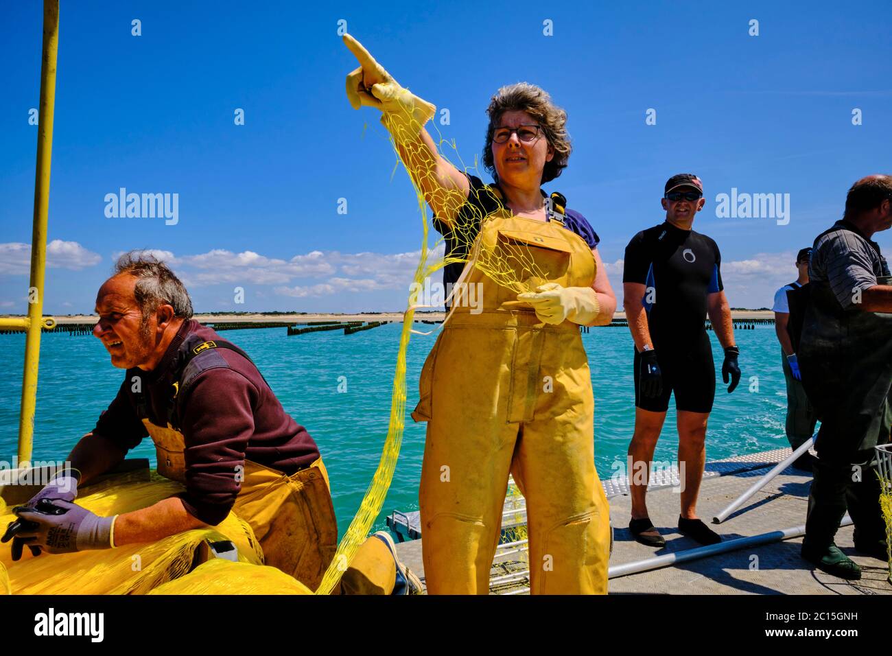 Bouchot mussels hi-res stock photography and images - Alamy