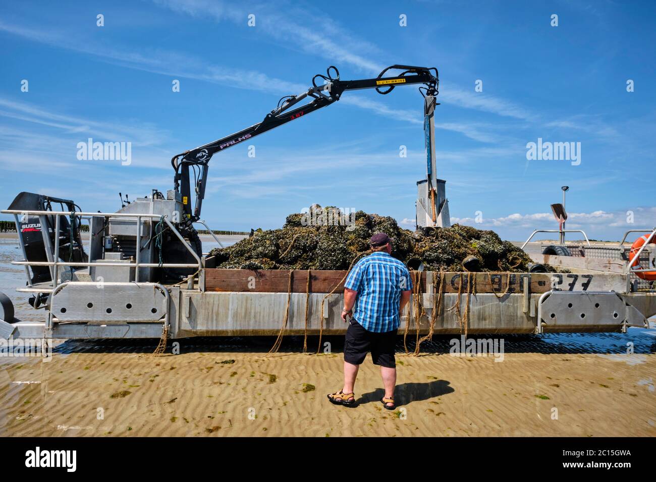 Bouchot culture hi-res stock photography and images - Alamy