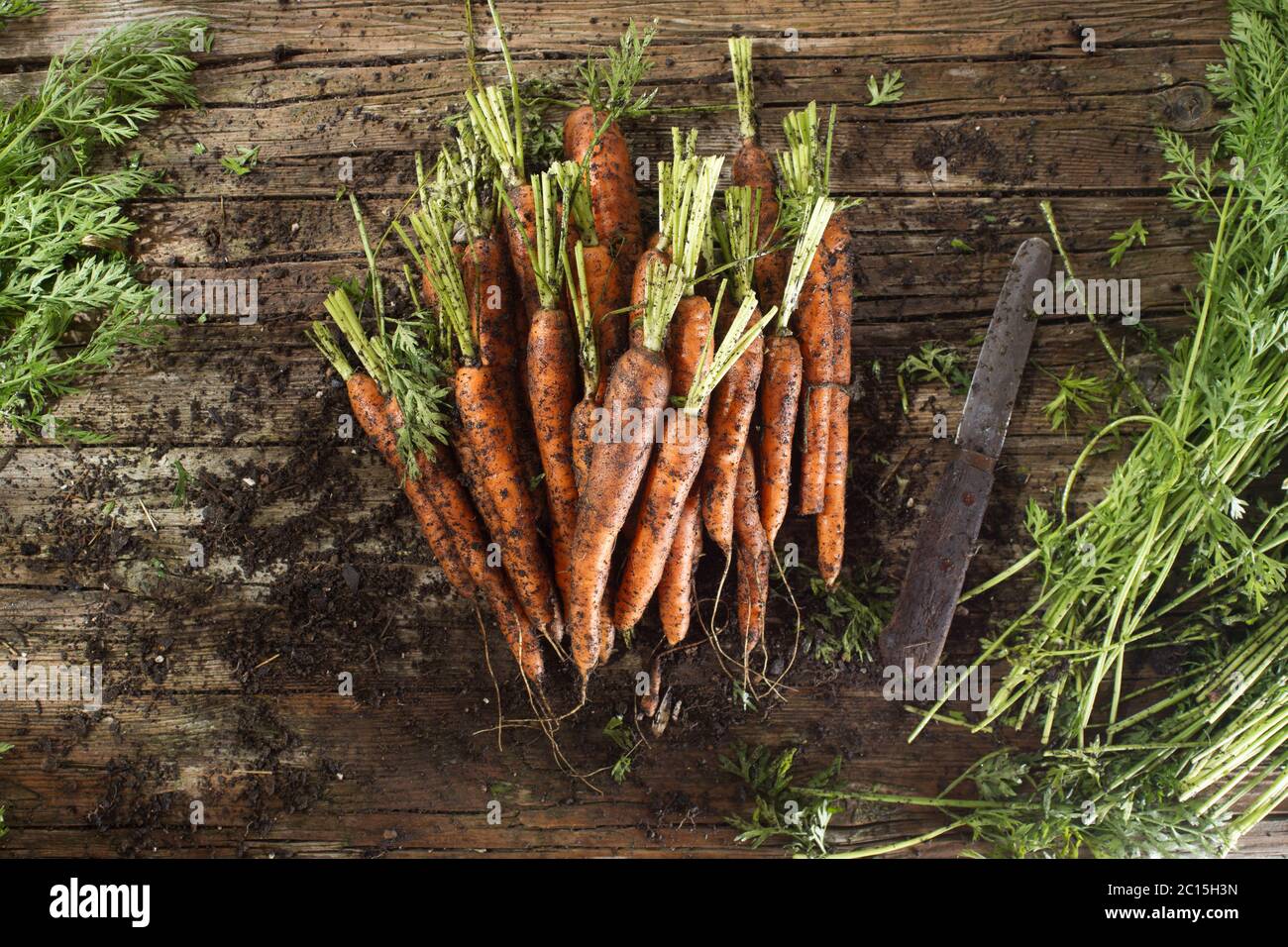 Clean a bunch of carrots Stock Photo - Alamy