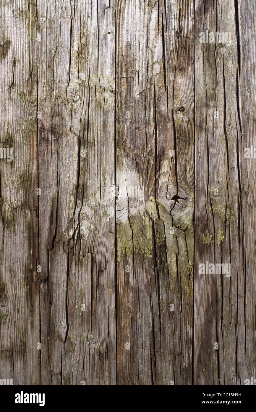 Old wooden boards Stock Photo - Alamy