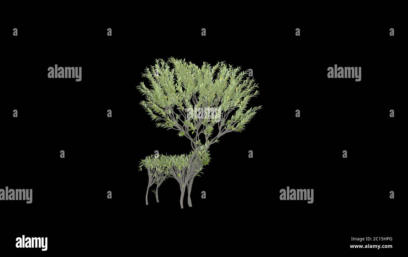 Growing Tree in a shape of a deer. Eco Concept. 3D rendering Stock ...