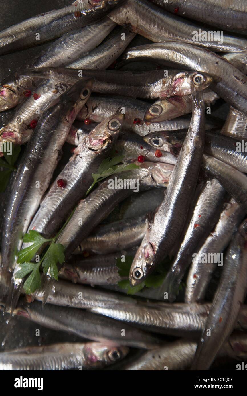Silver Anchovy High Resolution Stock Photography and Images - Alamy