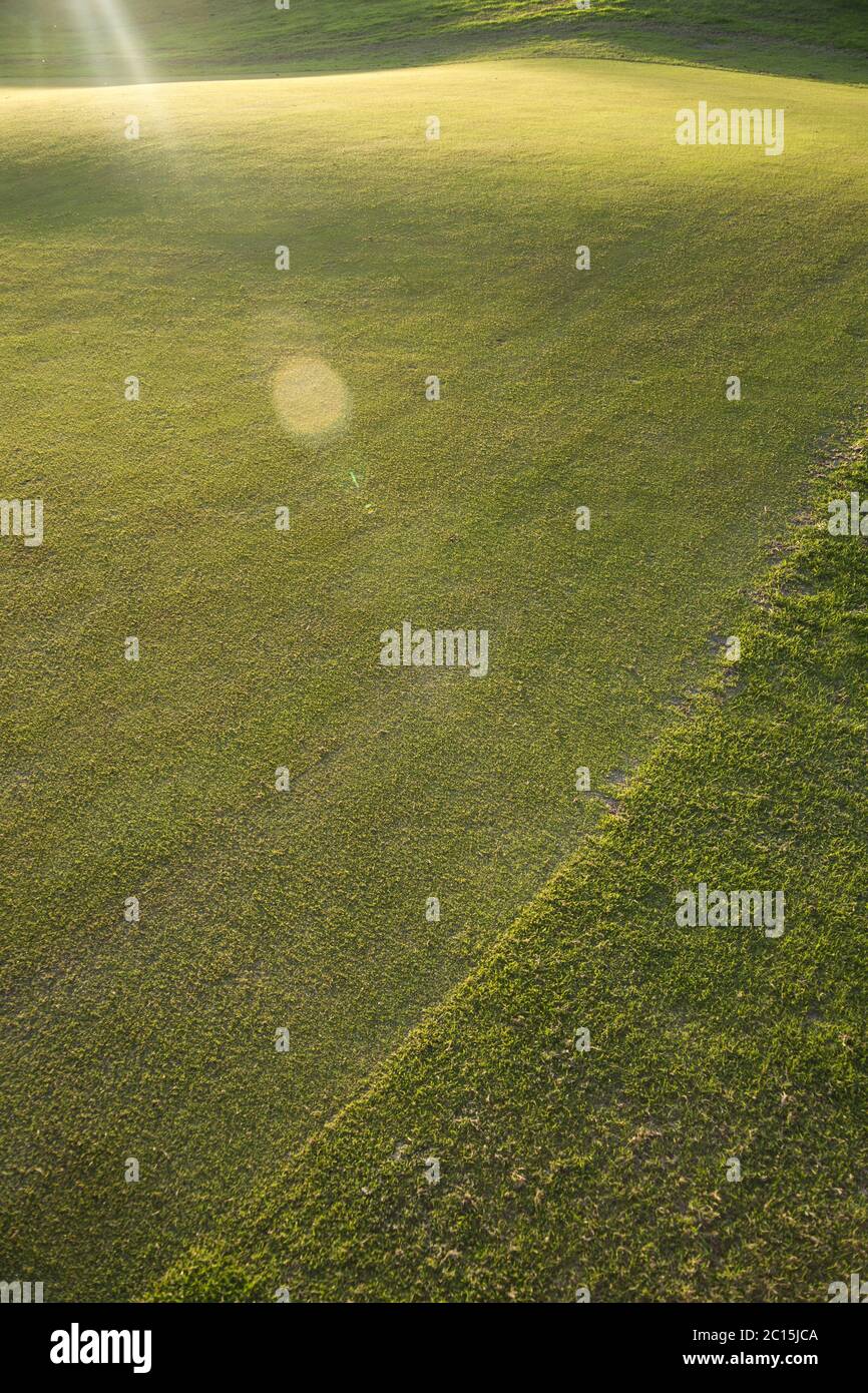 Grass on a golf course Stock Photo - Alamy