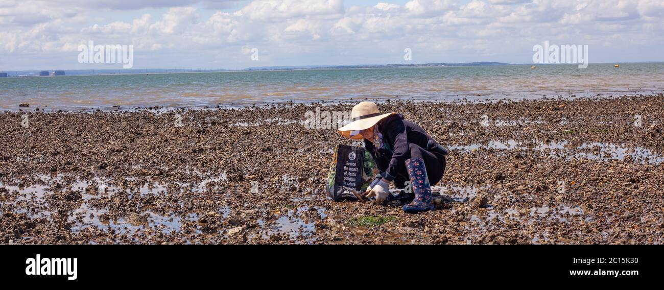 Shellfish picker hi-res stock photography and images - Alamy