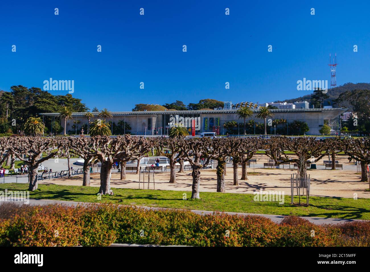 California academy of sciences hi-res stock photography and images - Alamy