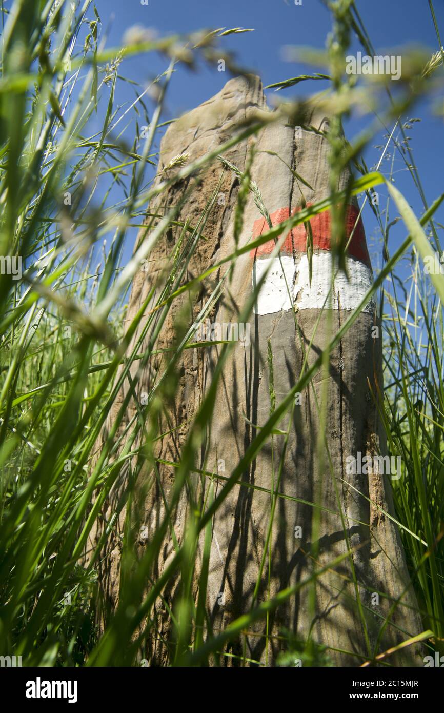Marked hiking trail hi-res stock photography and images - Alamy