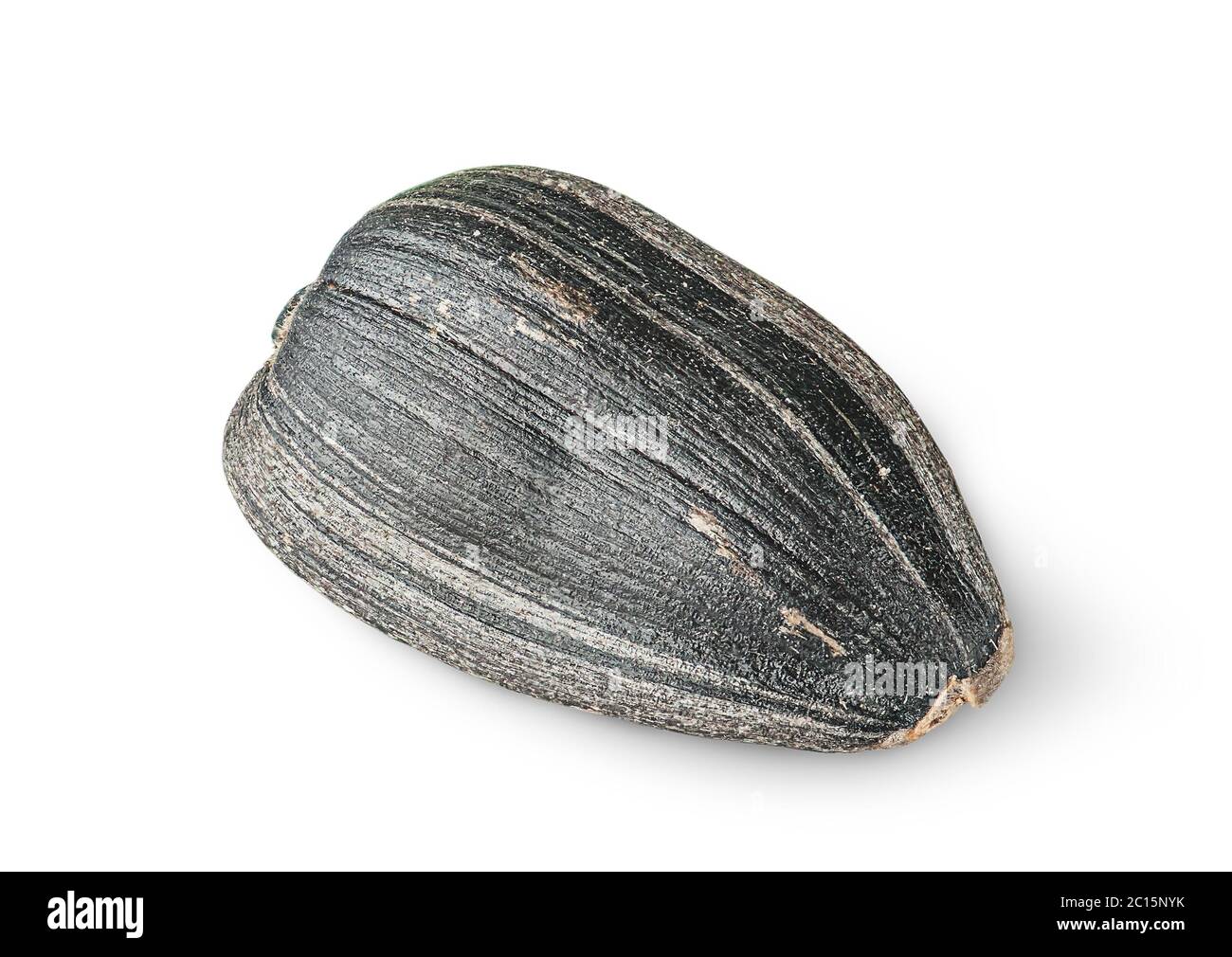 Single seed pod hi-res stock photography and images - Alamy