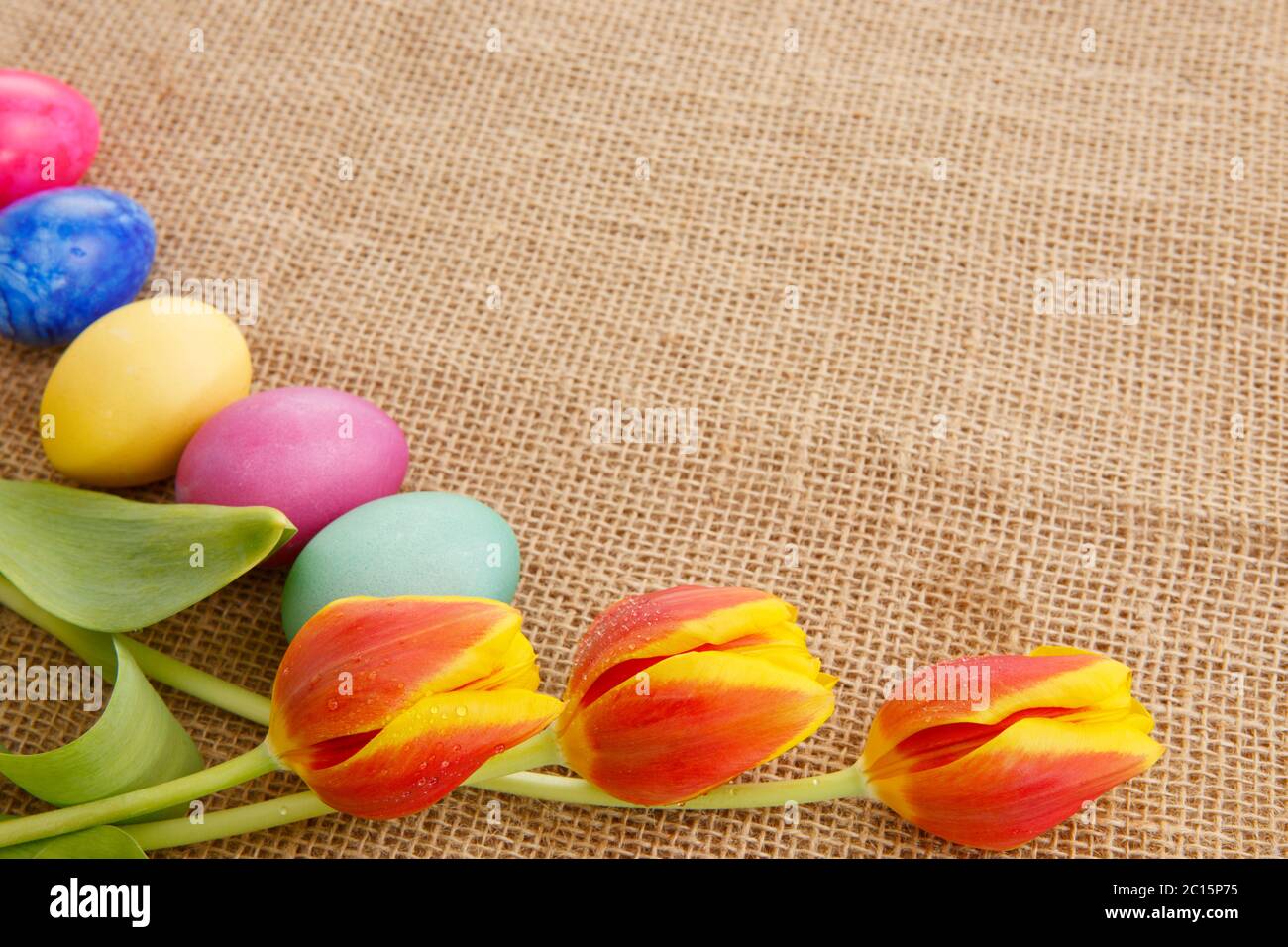 Colorful spring tulips hi-res stock photography and images - Alamy