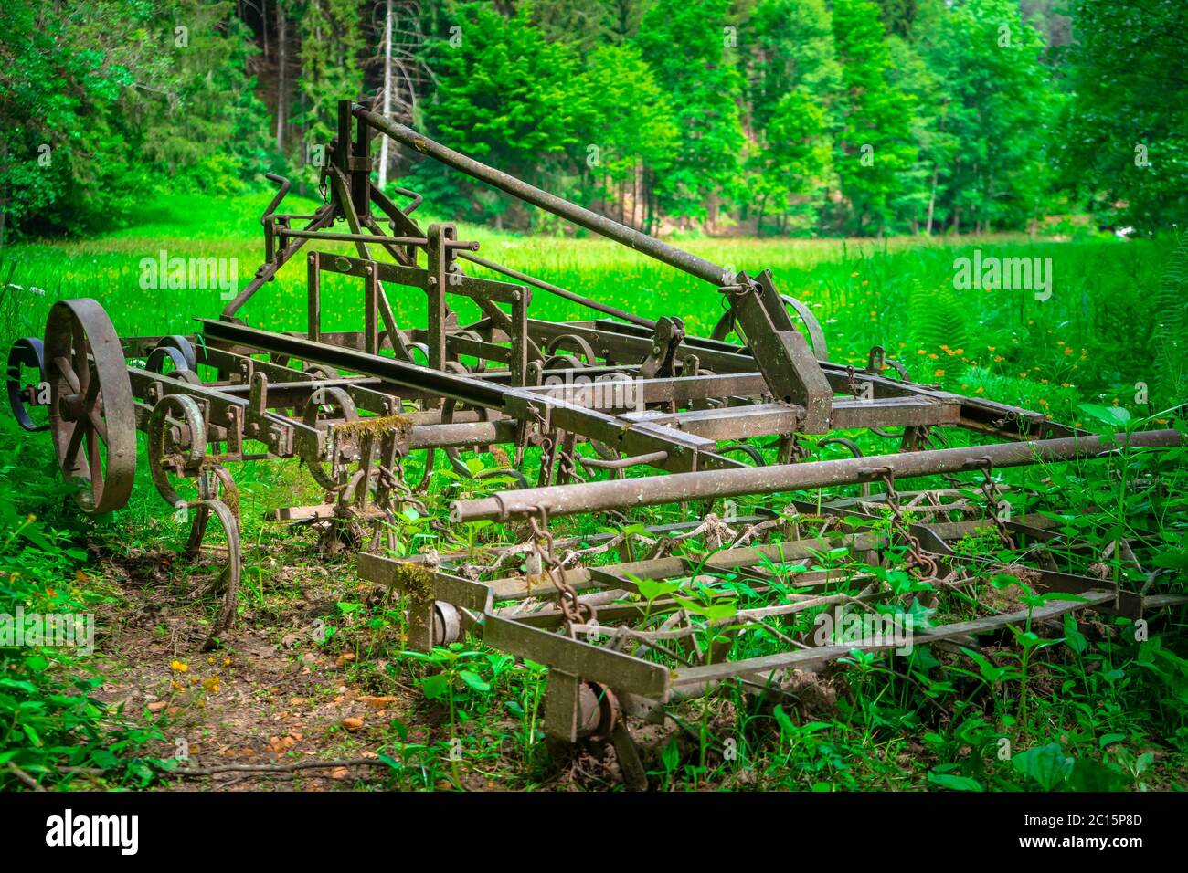 Old tree trunk in middle of forest clearing in hi-res stock photography ...