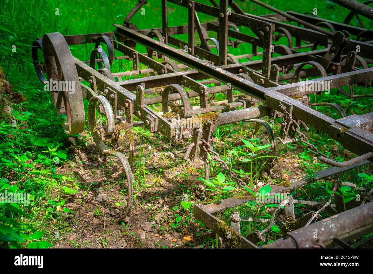 Old tree trunk in middle of forest clearing in hi-res stock photography ...