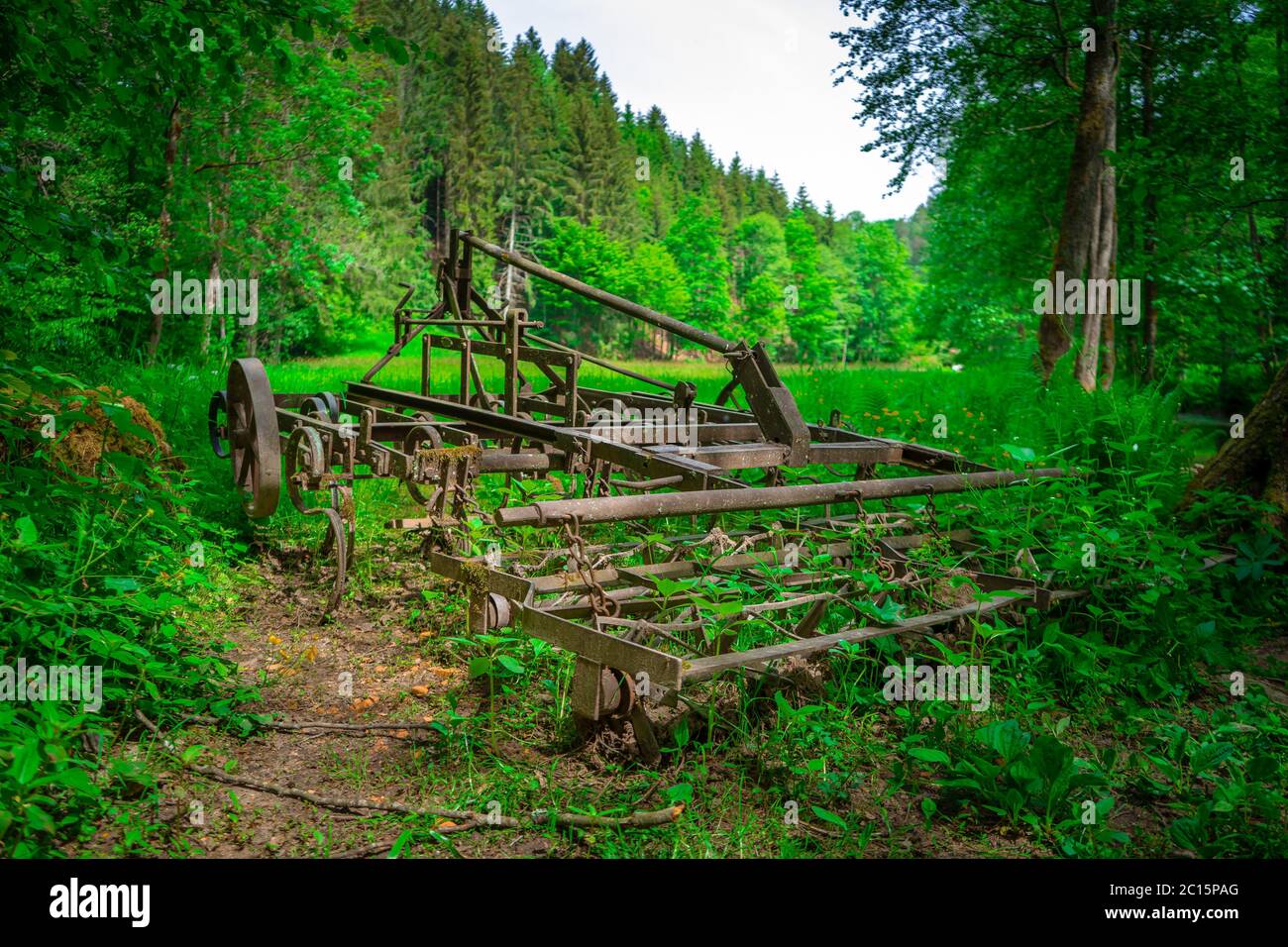 Old harrow in the middle of the forest Mitterfels in the Bavarian ...