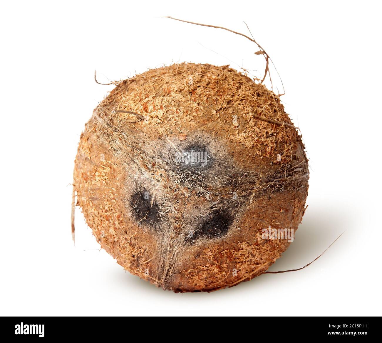 Coconut top Cut Out Stock Images & Pictures - Alamy
