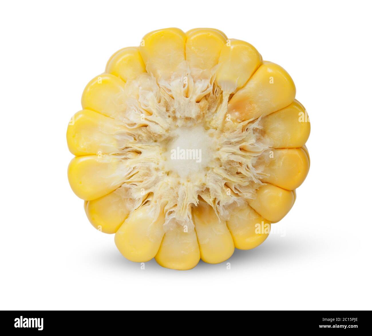 Piece of corn cob an end view Stock Photo - Alamy