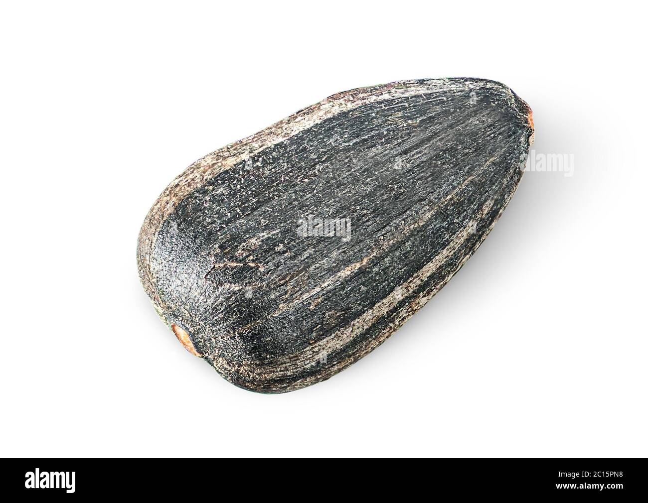 Single of sunflower seed rotated Stock Photo - Alamy