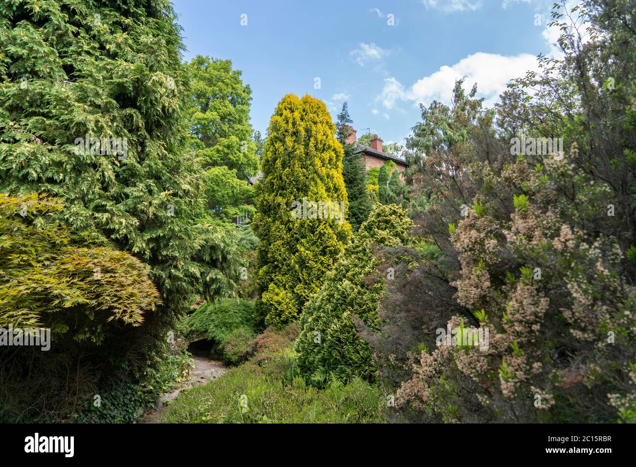 Manchester, UK. 13th June, 2020. View of trees at the Fletcher Moss ...