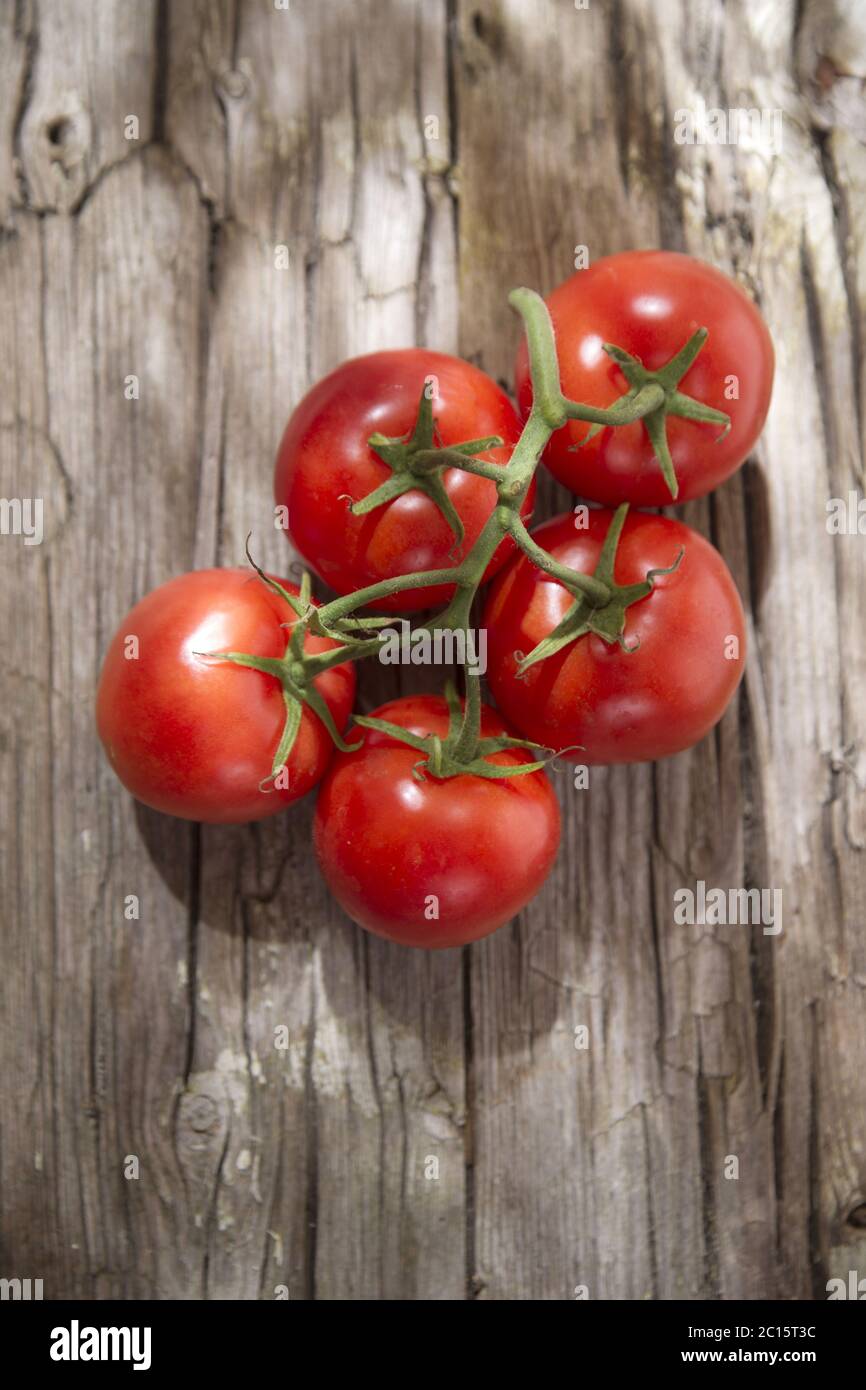 Smooth round tomatoes Stock Photo - Alamy
