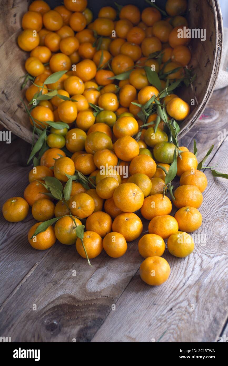 Winter fruit Mandarin Stock Photo - Alamy