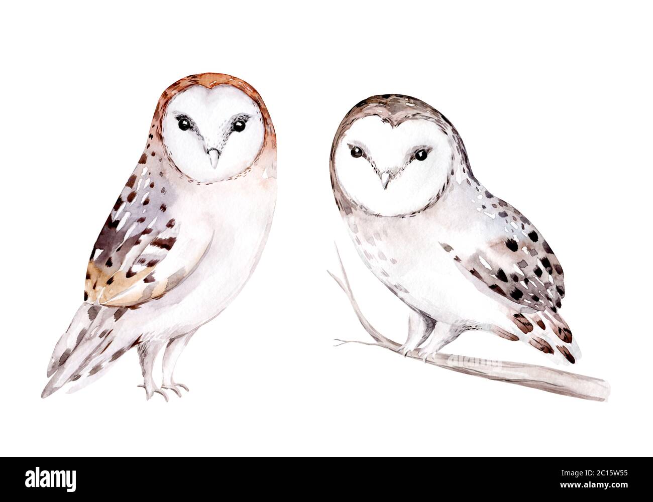 Woodland watercolor cute animals baby owl. Scandinavian owls on forest ...