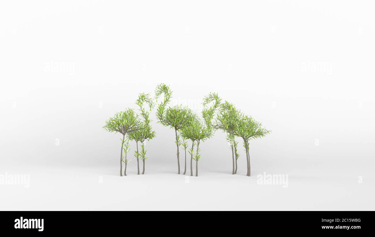 Growing Tree in a shape of a flamingo. Eco Concept. 3D rendering Stock ...