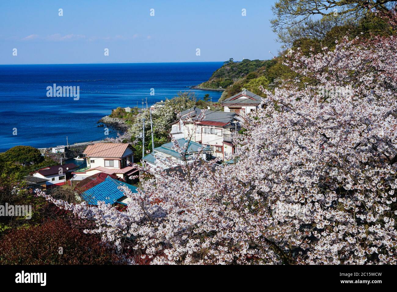 Houses in a small port town in Japan in the beginning of spring ...