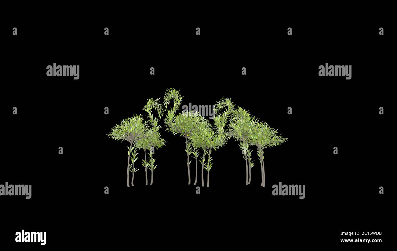 Growing Tree in a shape of a flamingo. Eco Concept. 3D rendering Stock ...