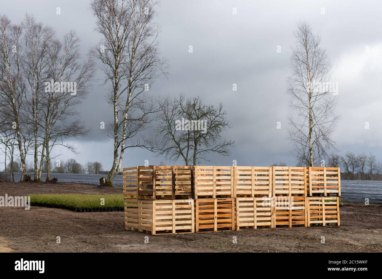Empty wooden boxes Stock Photo - Alamy