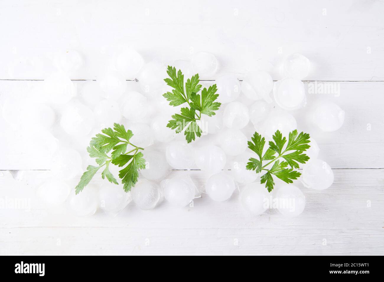 Ice parsley hi-res stock photography and images - Alamy