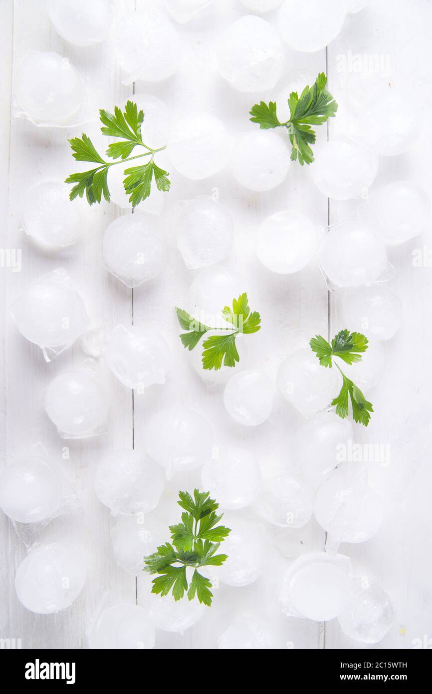 Ice parsley hi-res stock photography and images - Alamy