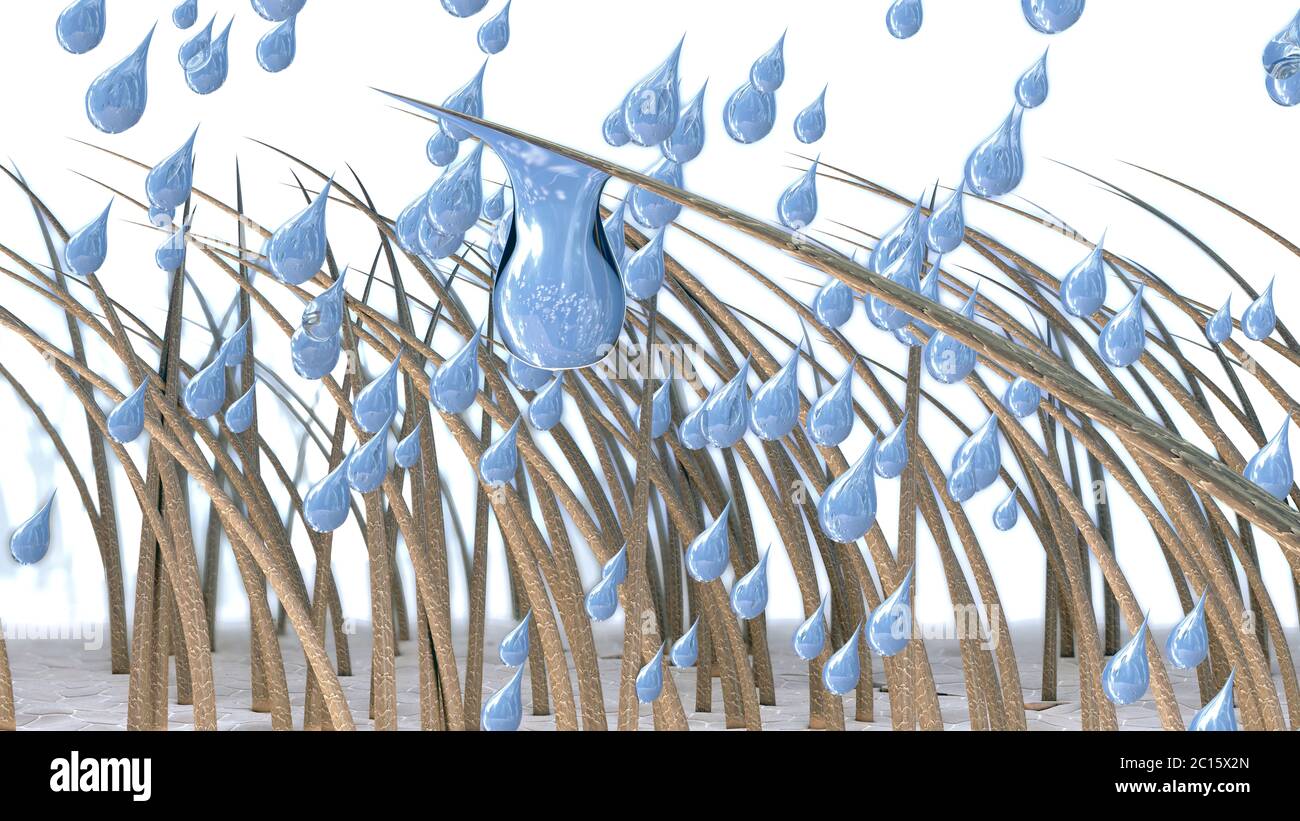 3d illustration of hair getting wet by water drops Stock Photo - Alamy