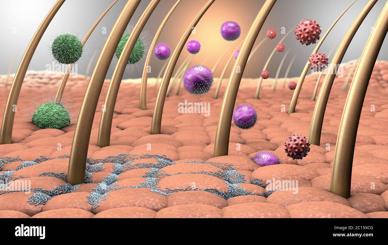 3d illustration of viruses and bacteria entering the human skin Stock ...