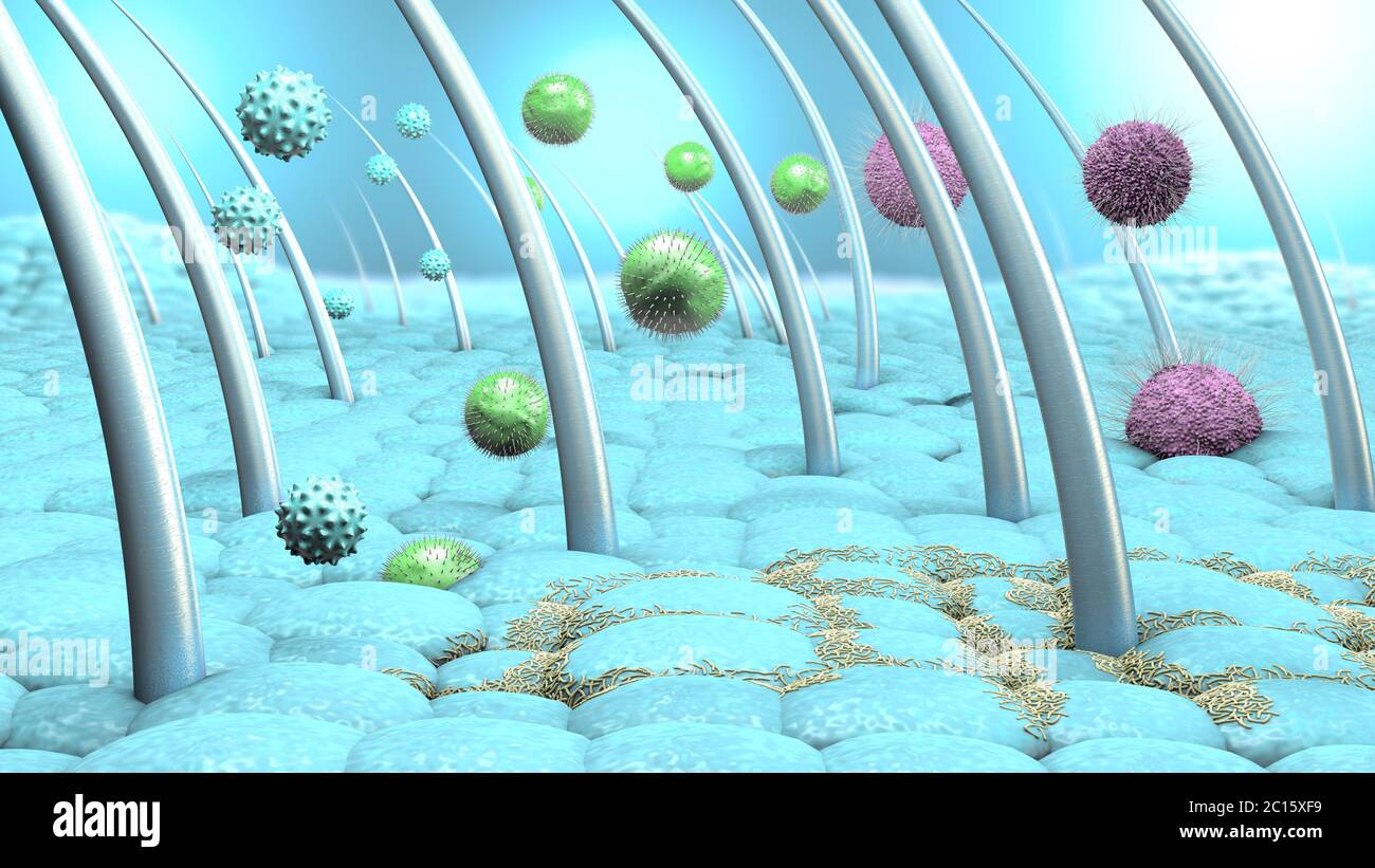 3d illustration of viruses and bacteria and skin fungus entering the ...